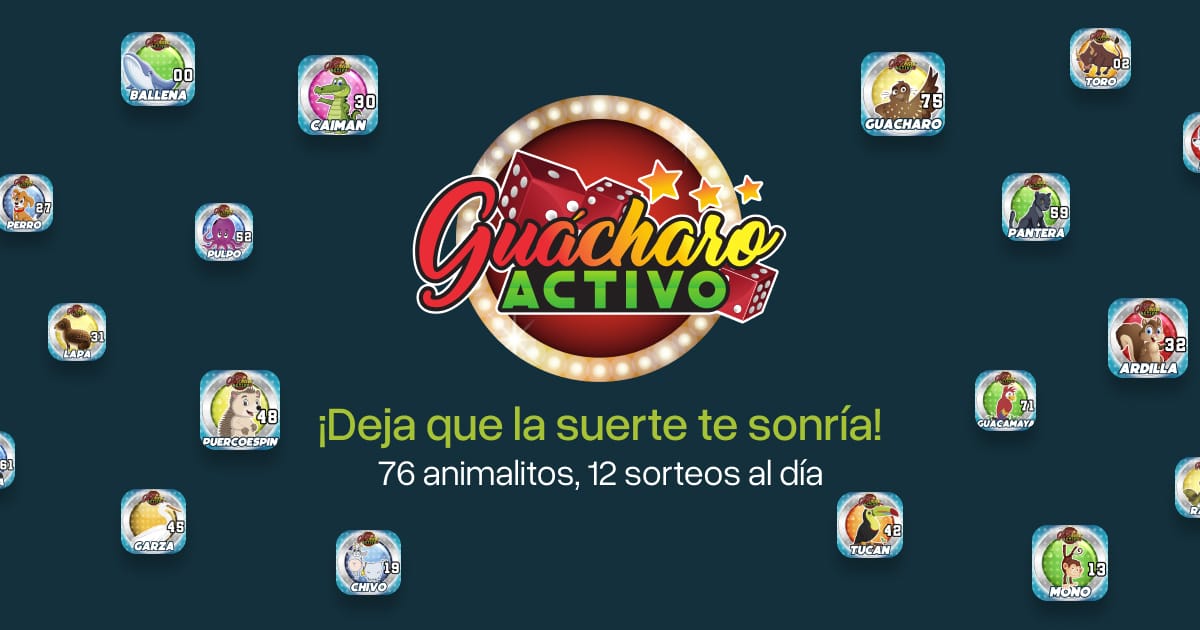 Guácharo Activo